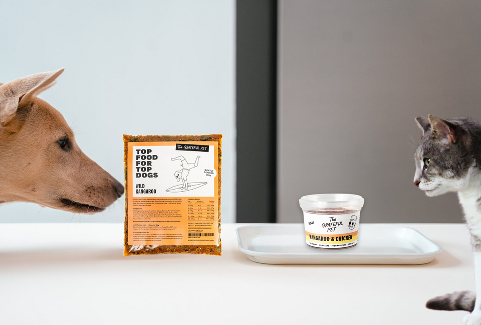 Kangaroo Meat: An Alternative Protein for Pets With Food Allergies ...